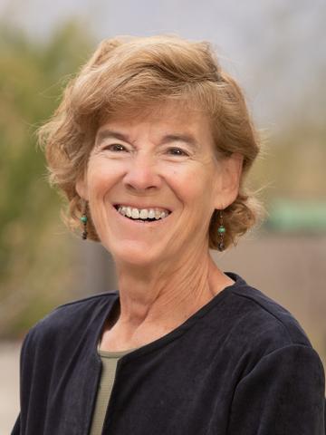 Denise Roe, DrPH | Integrative Cancer Scholars